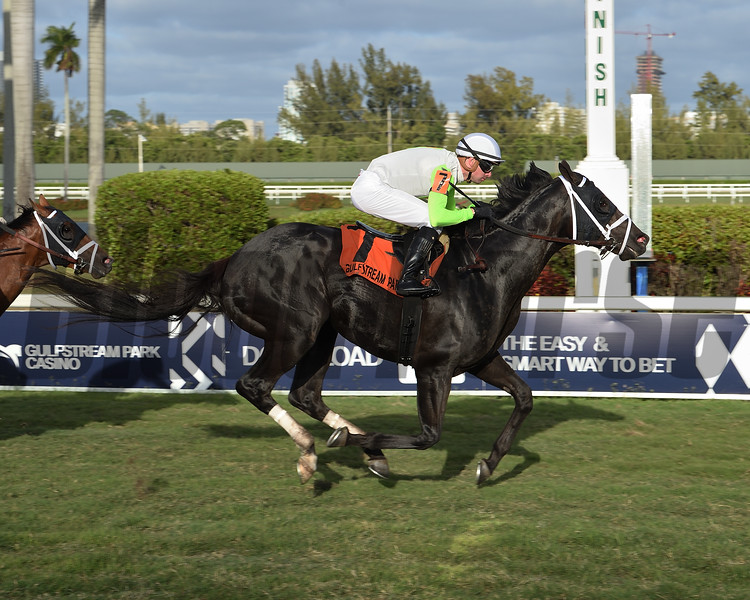 Social Paranoia Proves the Best in Appleton Stakes – Stuart Grant Delaware